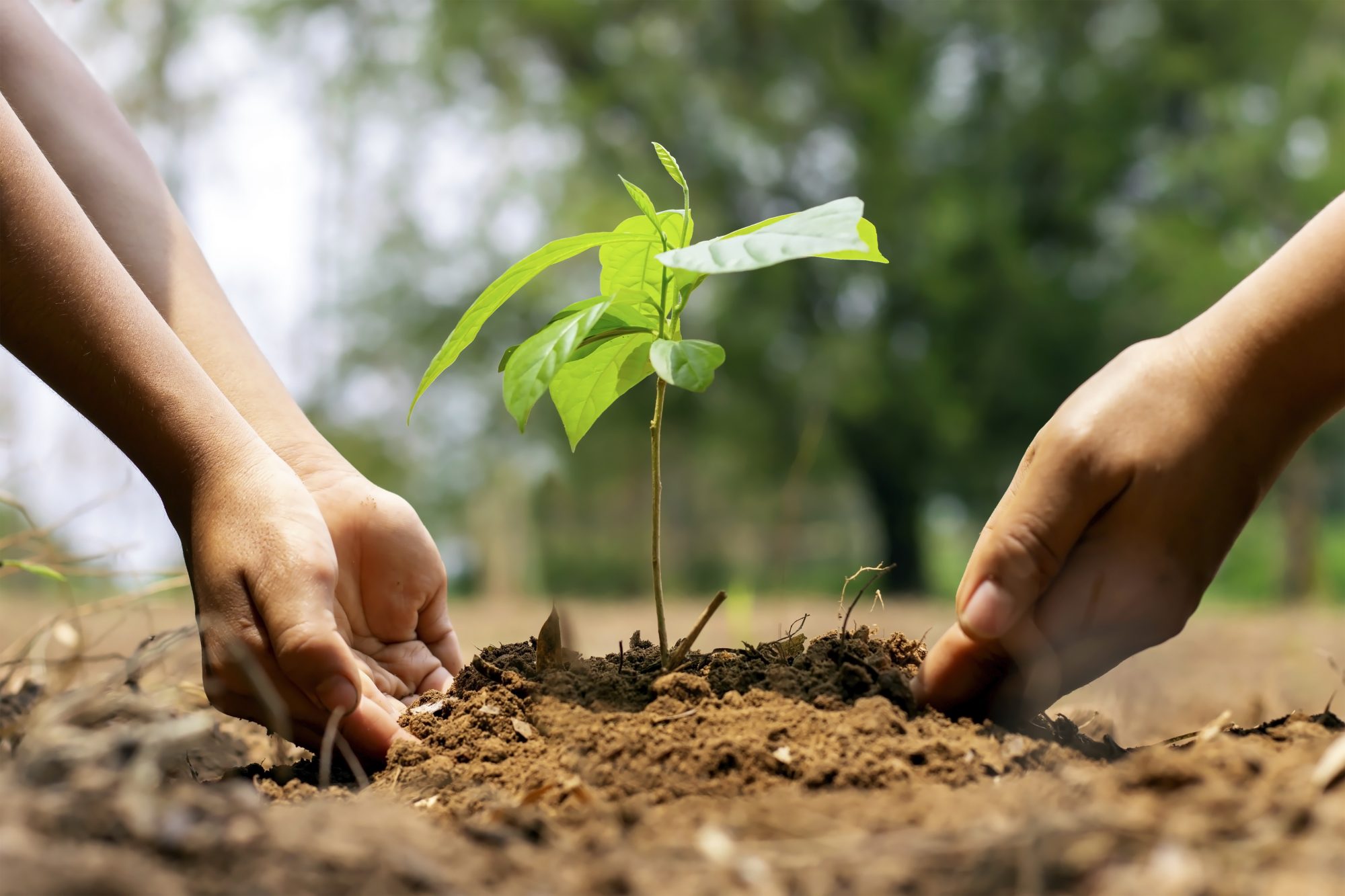 Practice abstracts – BioRural